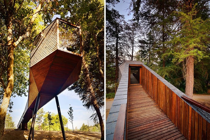 Tree Snake Houses – Portugal