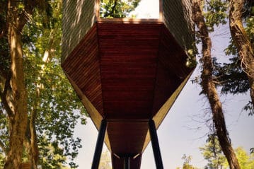 Tree Snake Houses – Portugal